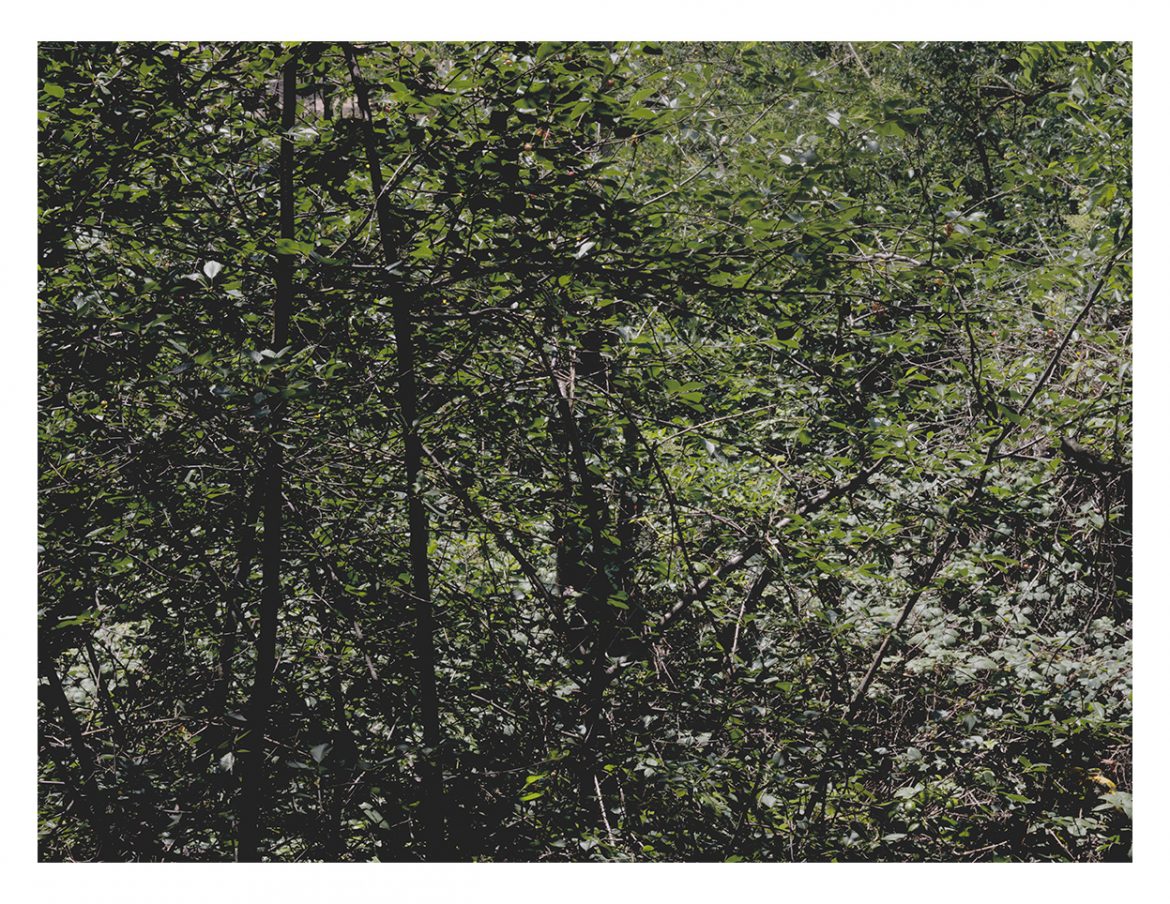 Un mistero lungo quarant'anni: la scomparsa di Marco Dominici ...